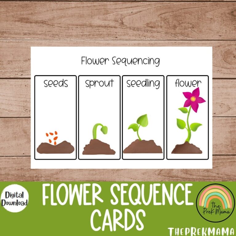 Printable Sequencing Cards For Preschool - Printable Preschool Worksheets