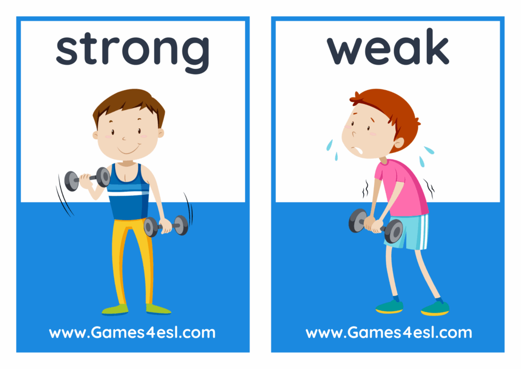 Printable Opposite Cards For Preschool - Printable Preschool Worksheets