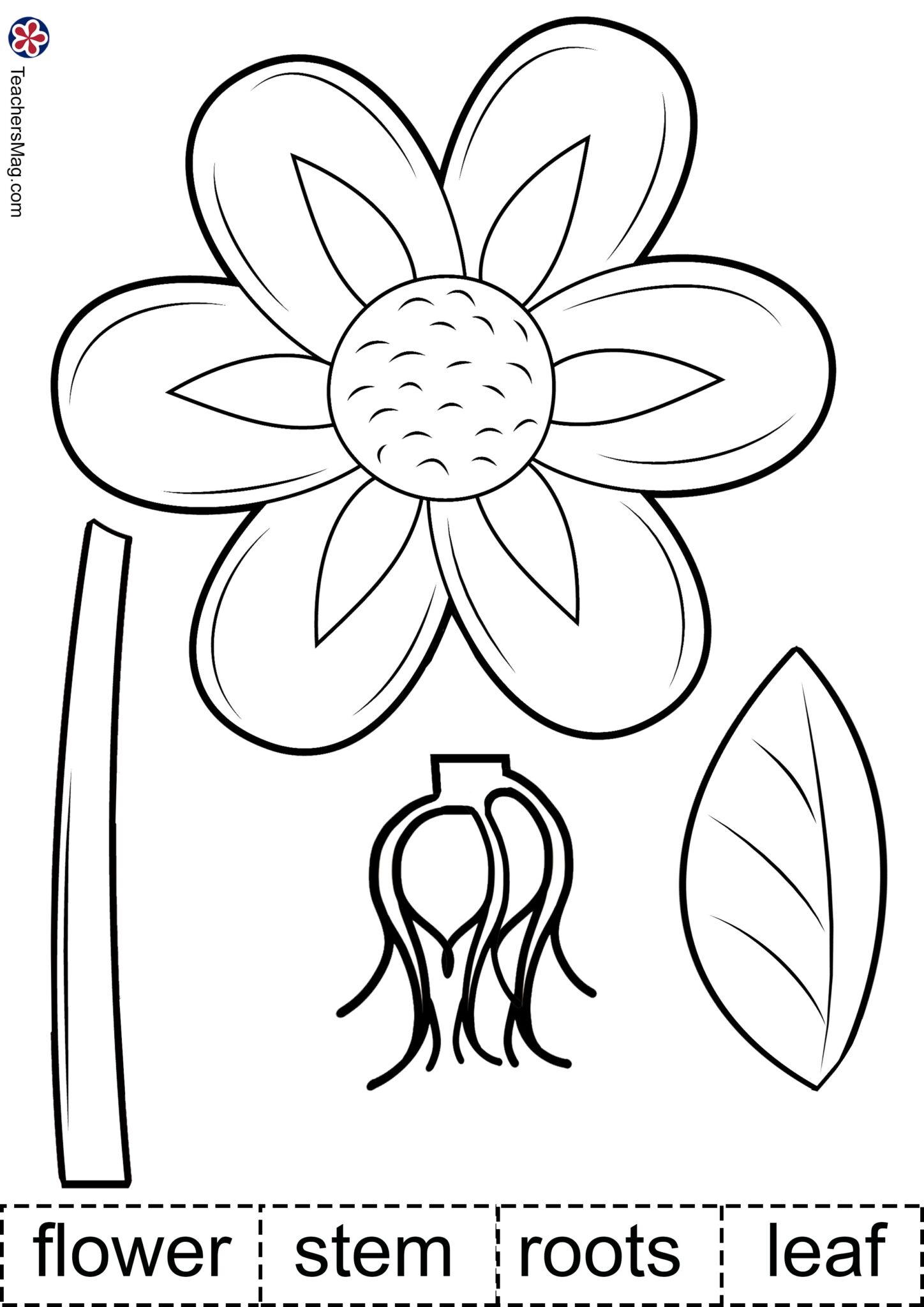 Printable Plant Activities For Preschool - Printable Preschool Worksheets