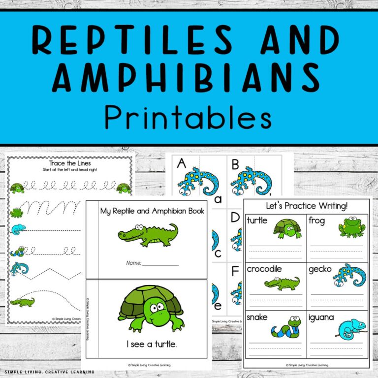Printable Reptile Activities For Preschoolers - Printable Preschool ...