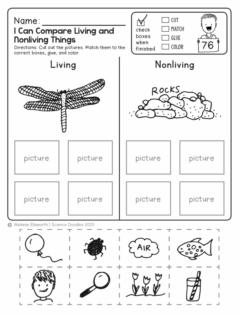 Printable Preschool Science Worksheets - Printable Preschool Worksheets