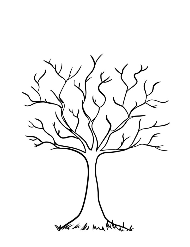 Printable Preschool Tree Template - Printable Preschool Worksheets